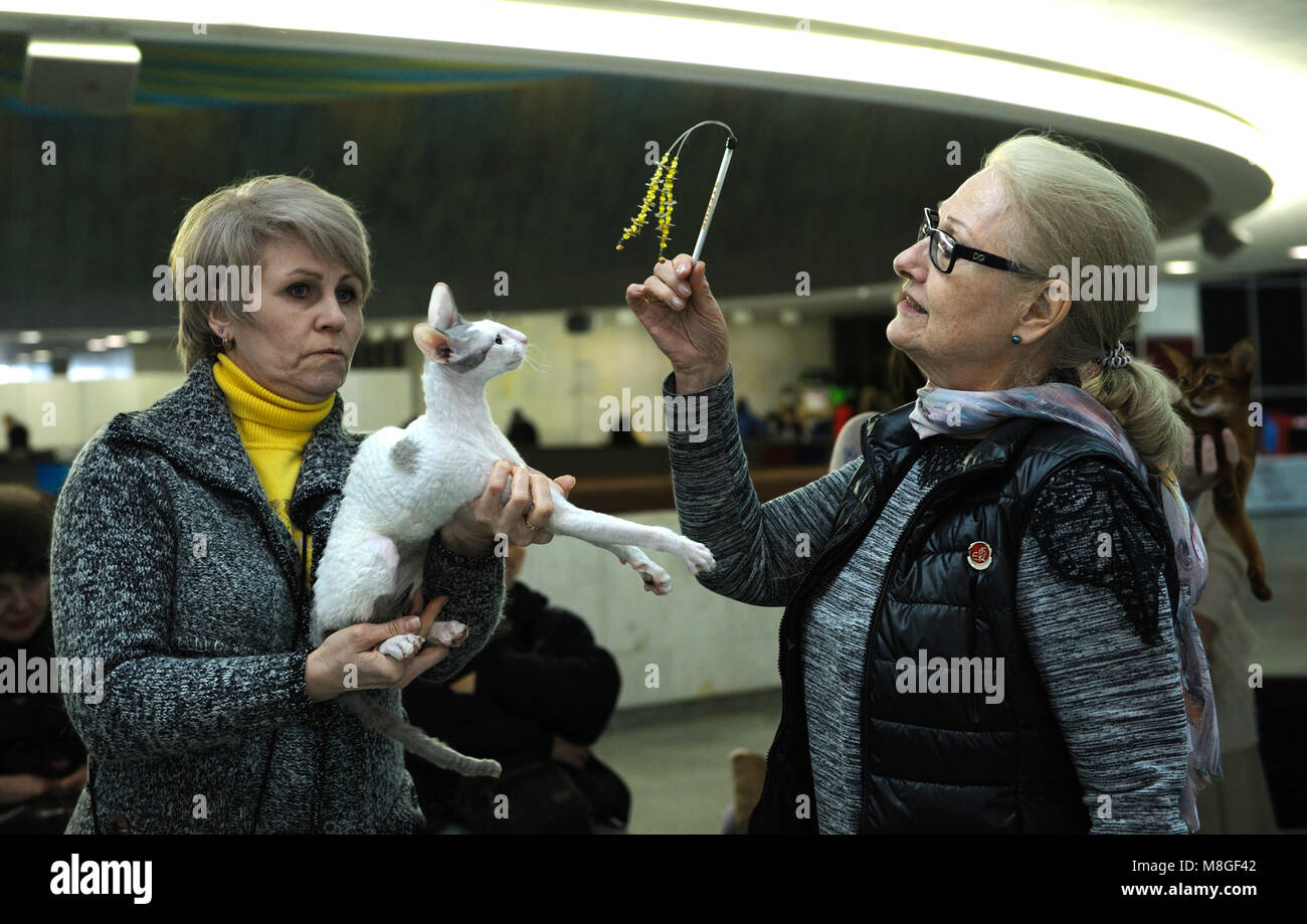 Owner keeping a cat, judge estimating its reaction. Competition among ...
