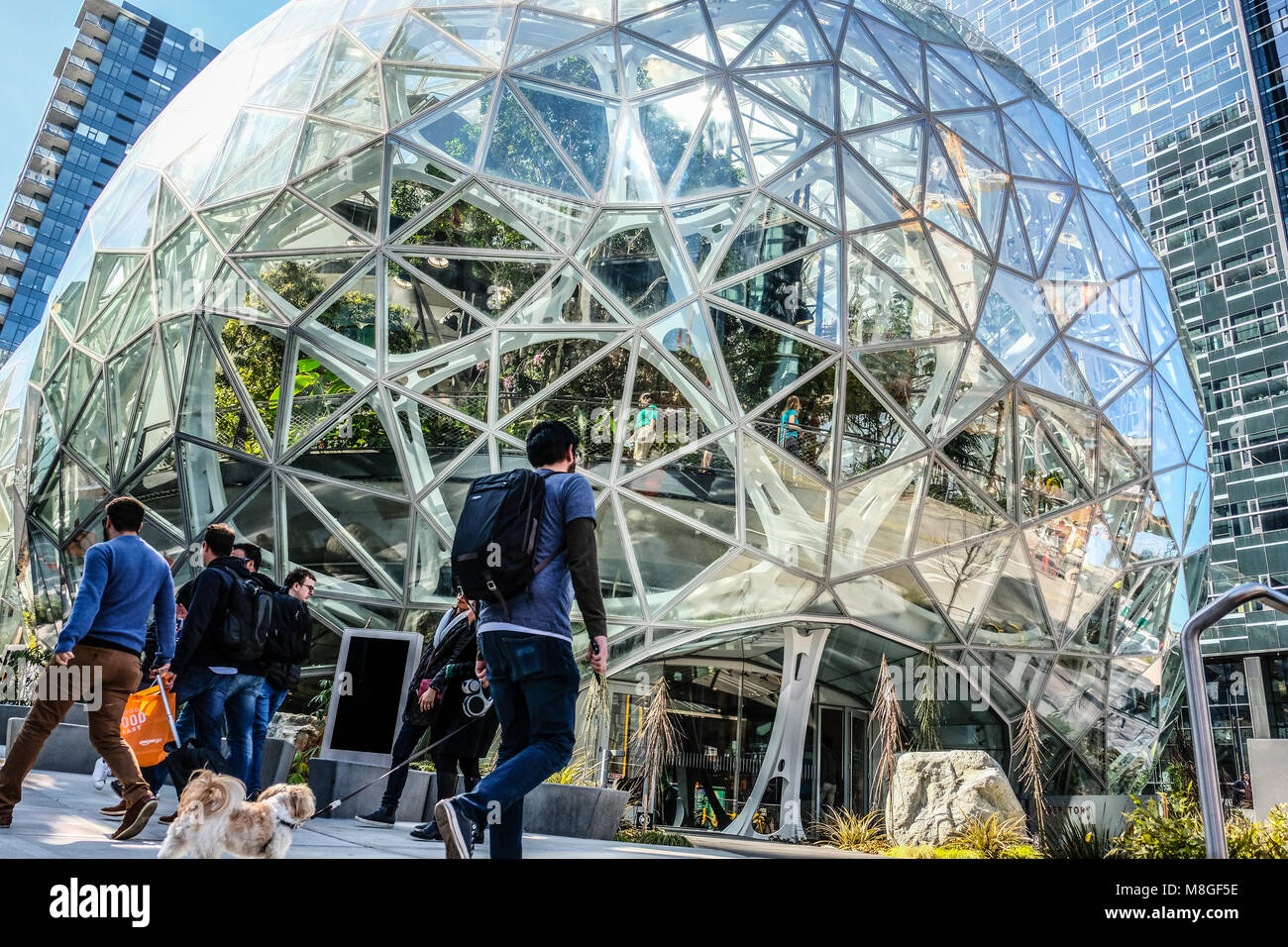 Amazon office dog hi-res stock photography and images - Alamy