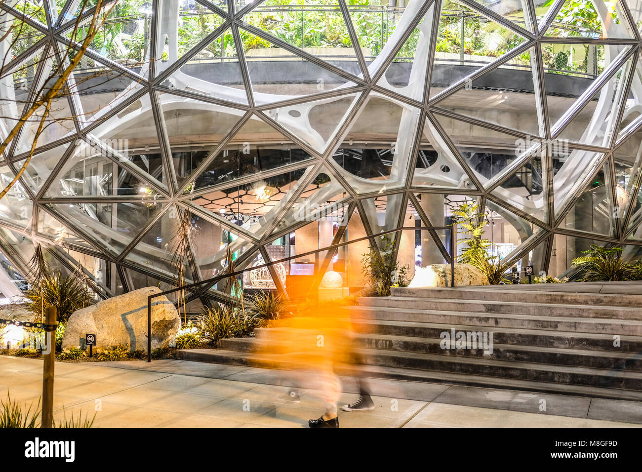 The glass dome Spheres at Amazon headquarter at night in downtown ...