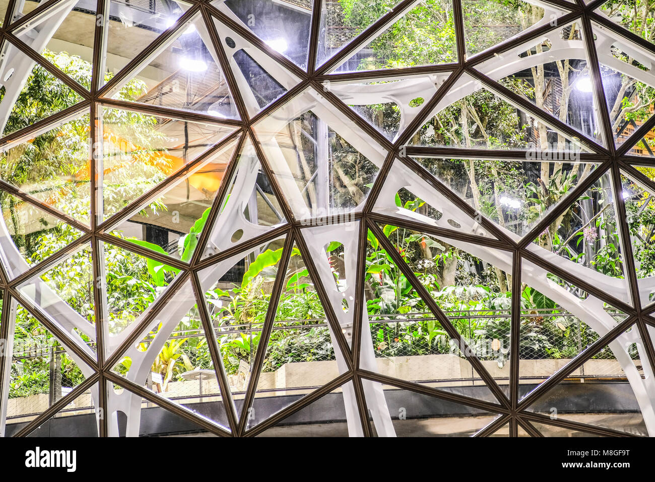 The glass dome Spheres at Amazon headquarter at night in downtown ...