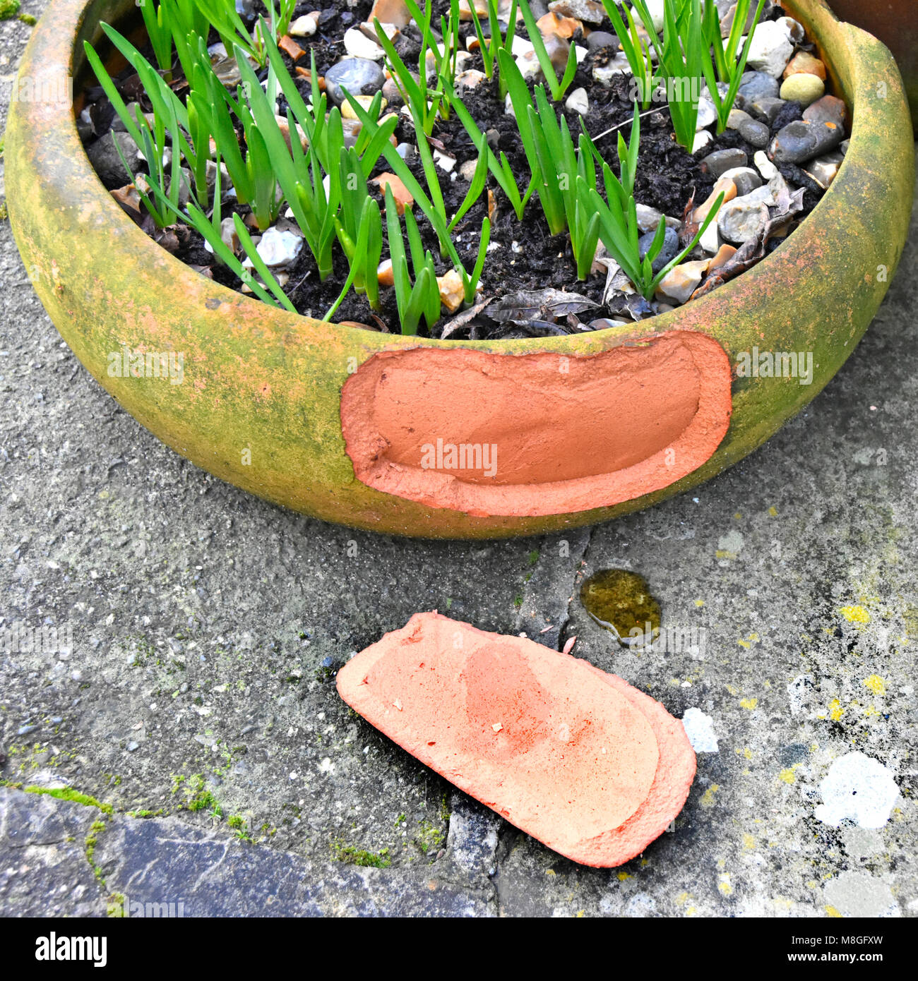 Broken pot garden hi-res stock photography and images - Alamy