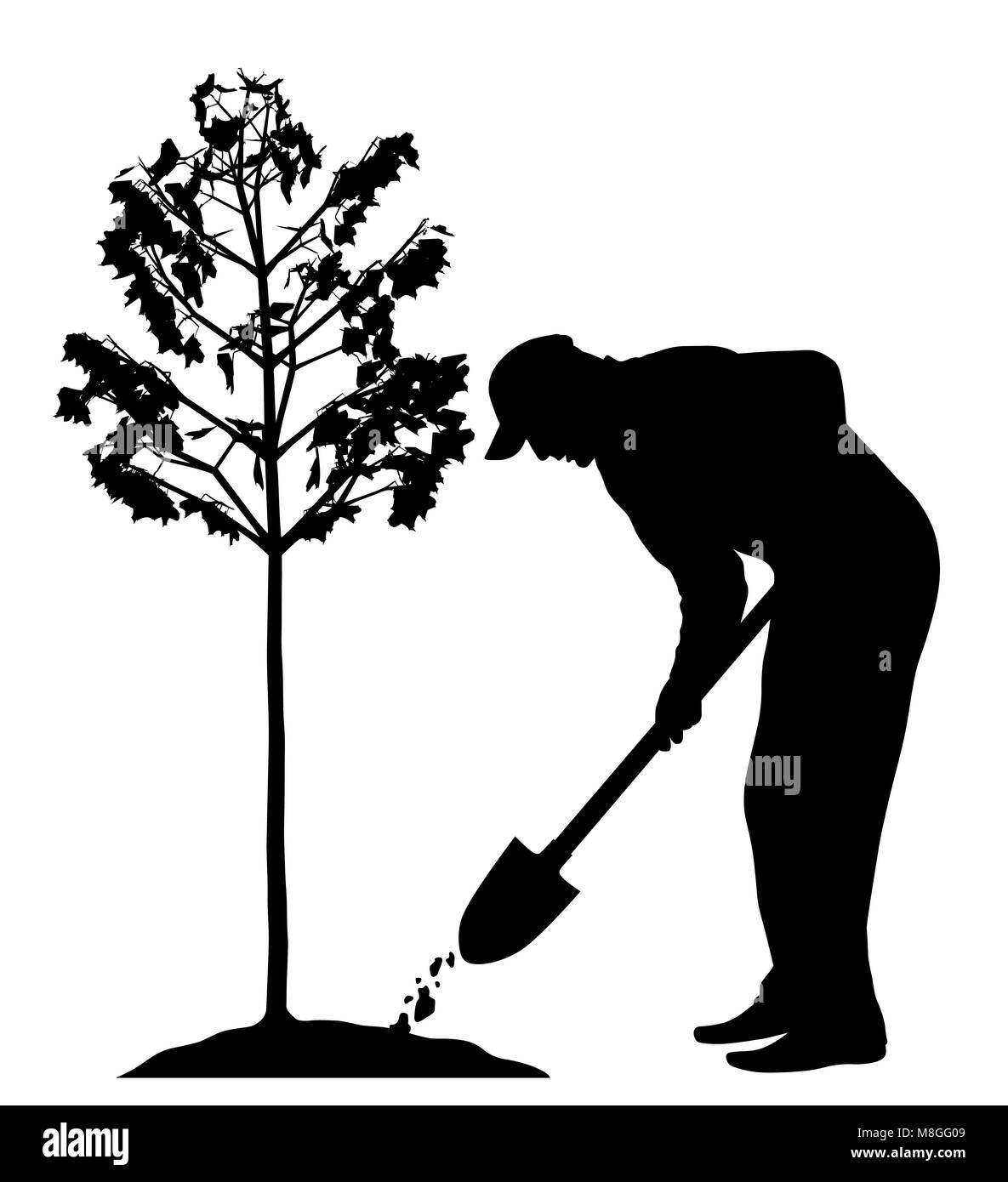 Tree spade planting wood hi-res stock photography and images - Alamy