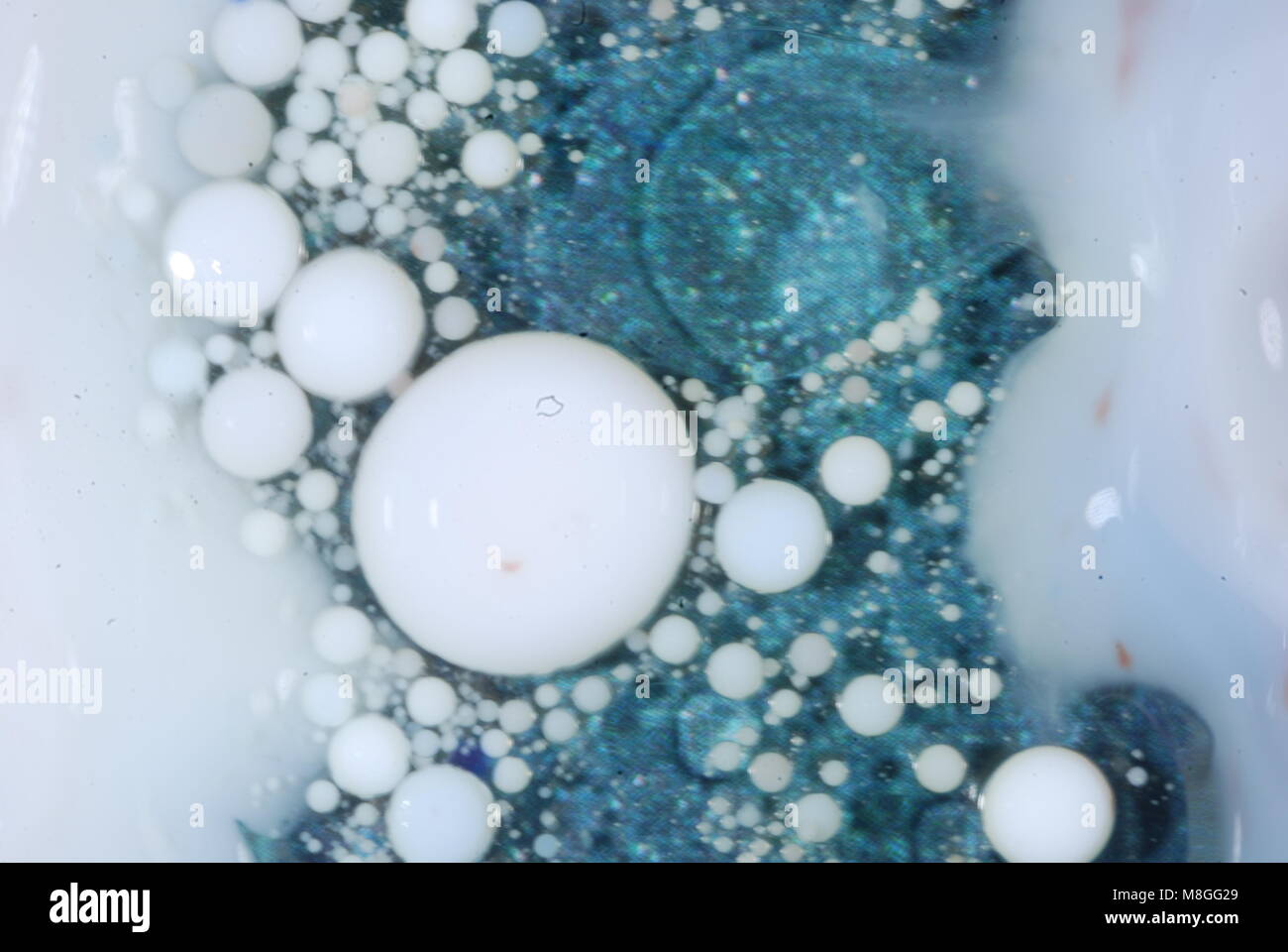 Still life macro hi-res stock photography and images - Alamy