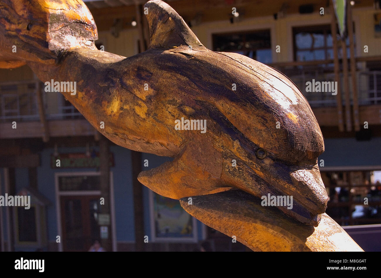 Carved dolphin hi-res stock photography and images - Alamy