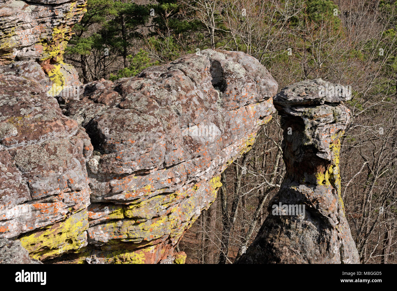 Turtle rock hi-res stock photography and images - Alamy