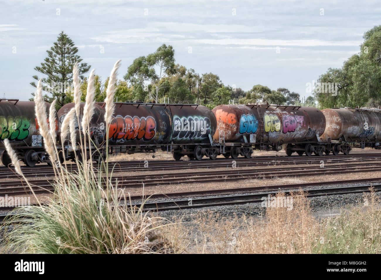 Freight Train Graffiti at Bendigo, Victoria, Australia Stock Photo - Alamy
