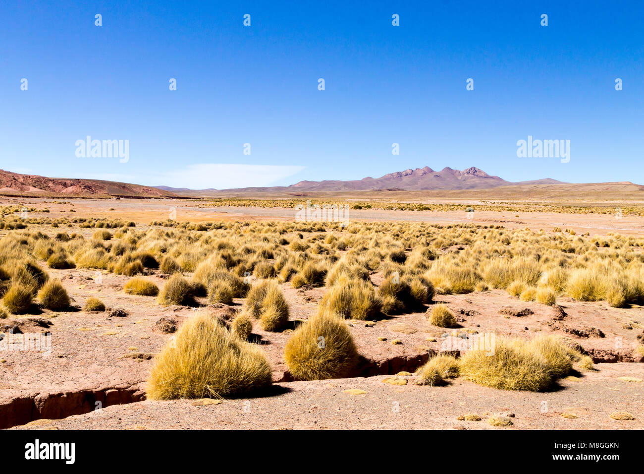 Bolivian mountains landscape,Bolivia.Andean plateau view Stock Photo ...