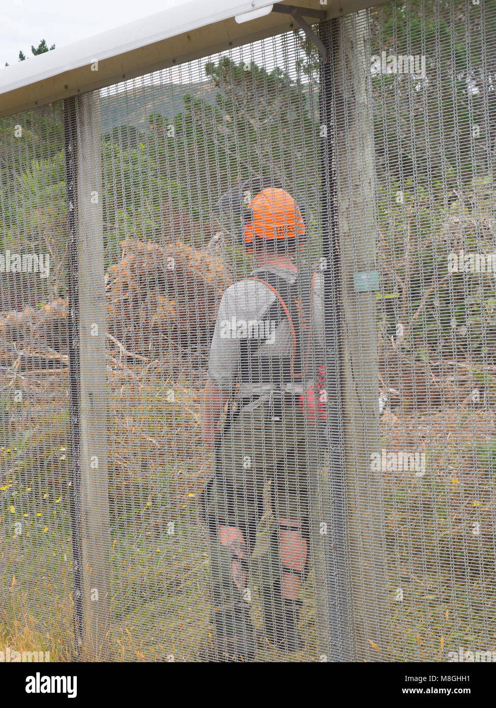 Conservation Worker Behind A Wire Press Control Fence Stock Photo - Alamy