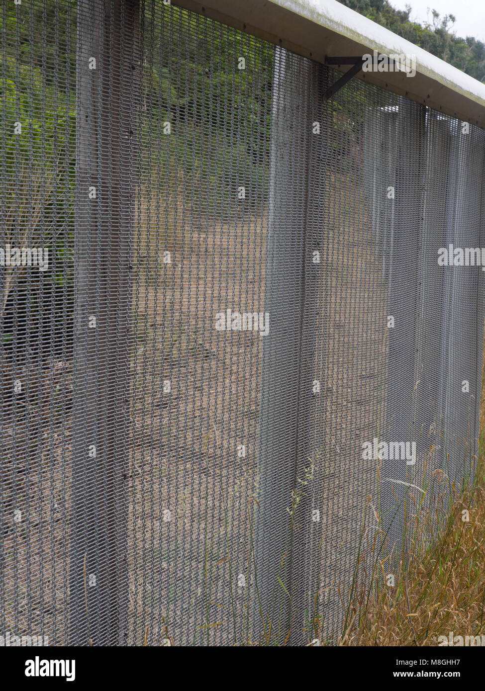 Control pests hi-res stock photography and images - Alamy