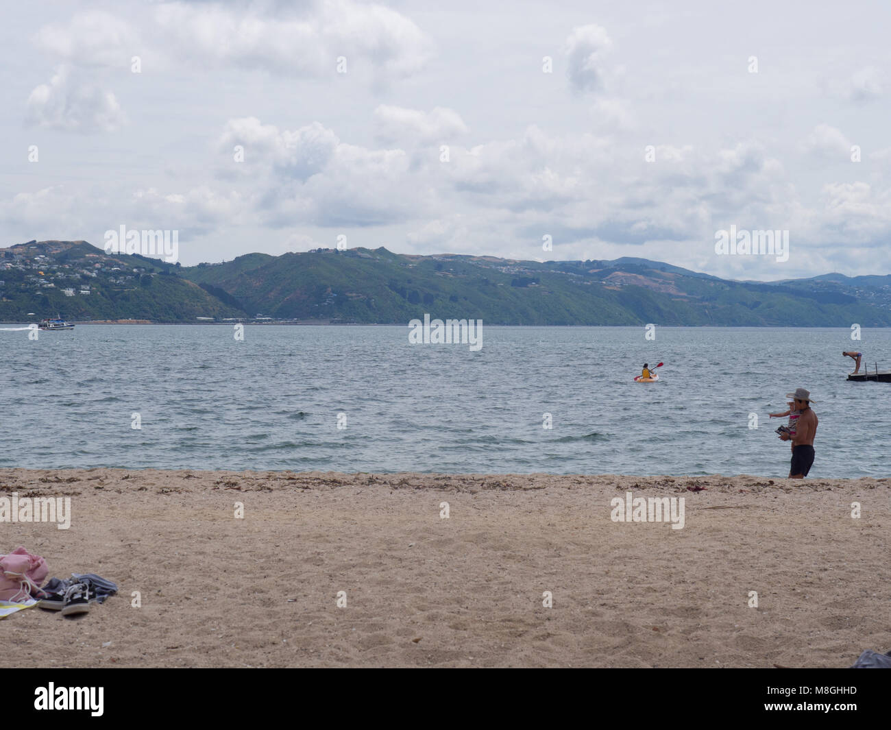 Wellington from oriental bay wellington from oriental bay hi-res stock ...