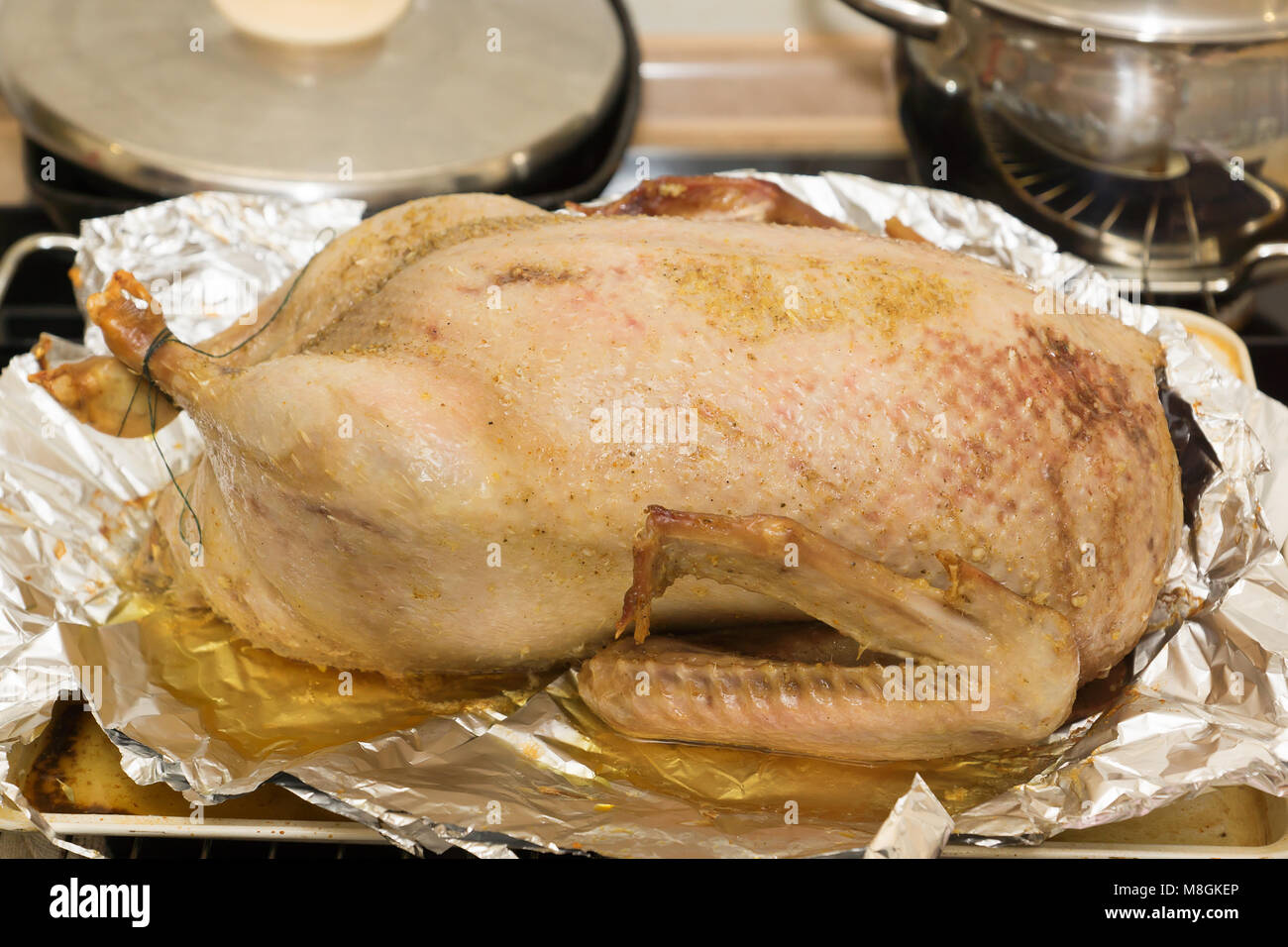 hostess is preparing a large fat duck for the festive table Stock Photo ...