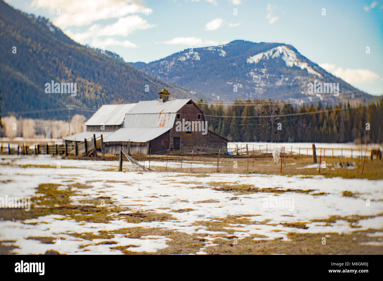 Old cattle barn hi-res stock photography and images - Alamy