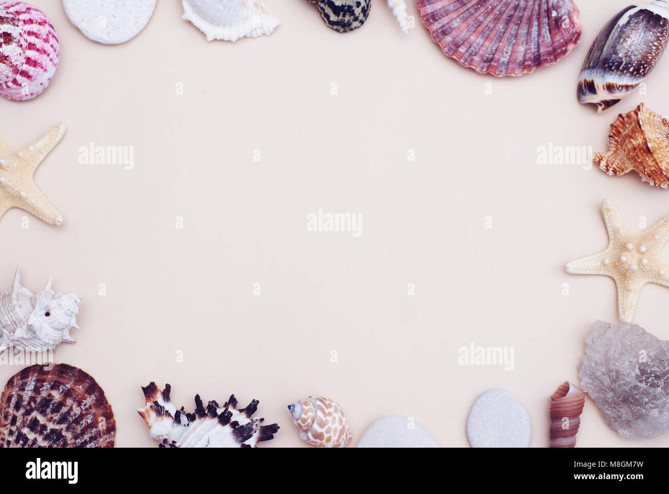 Sea Shells Frame on Neutral Ivory Backgroundwith Copy space for Text ...