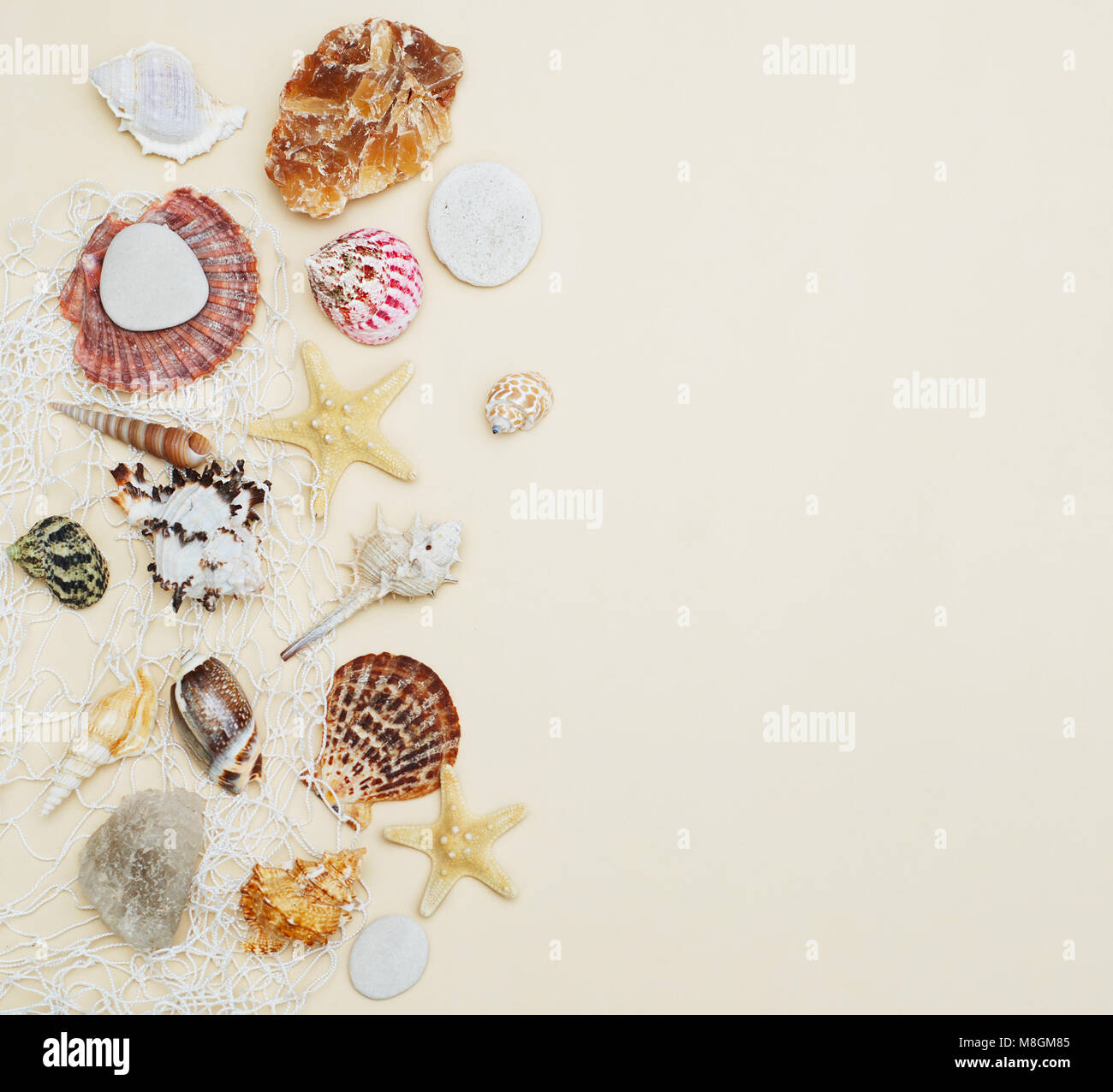 Sea Shells Frame on Neutral Ivory Backgroundwith Copy space for Text ...