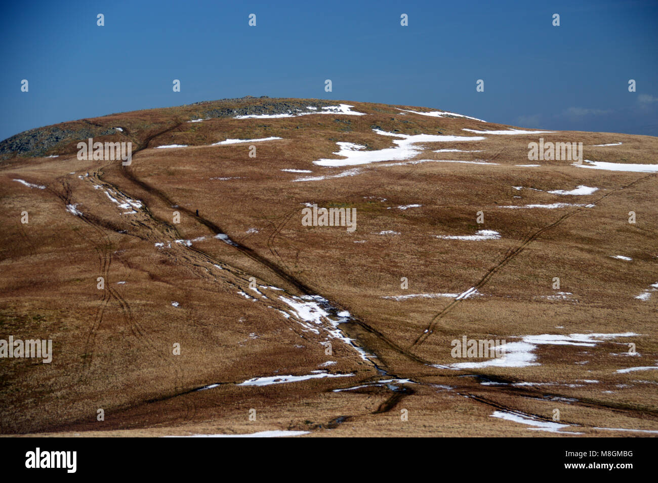 Head rise hi-res stock photography and images - Alamy