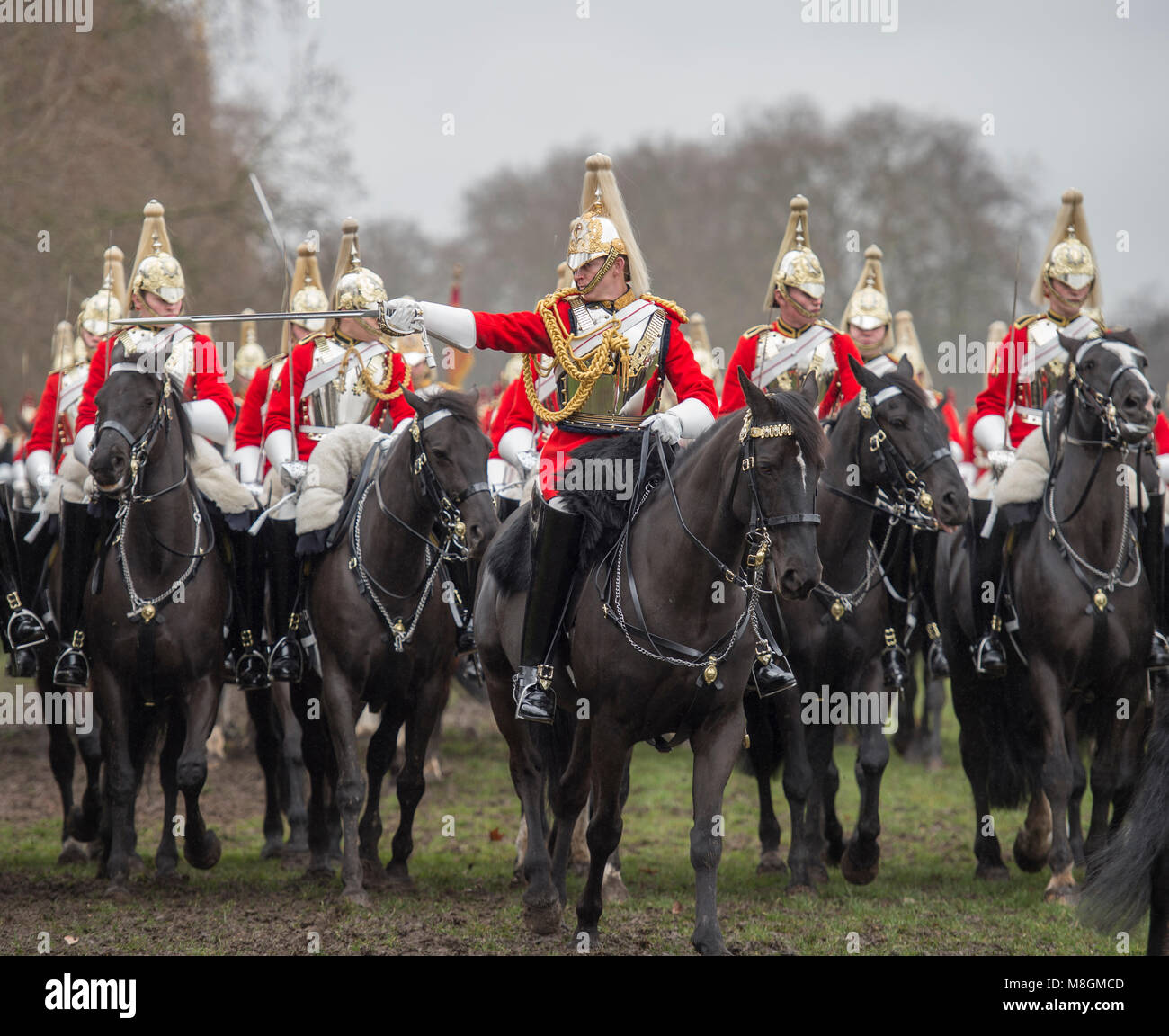 Household cavalry hi-res stock photography and images - Alamy