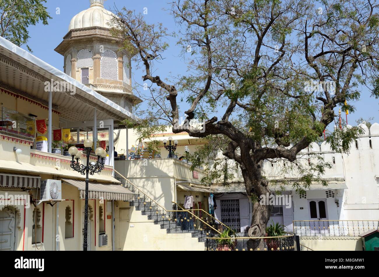 Neem tree hi-res stock photography and images - Alamy