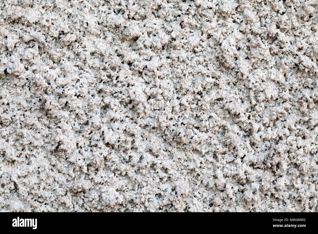 Macro texture of rough plaster covering of the building Stock Photo - Alamy