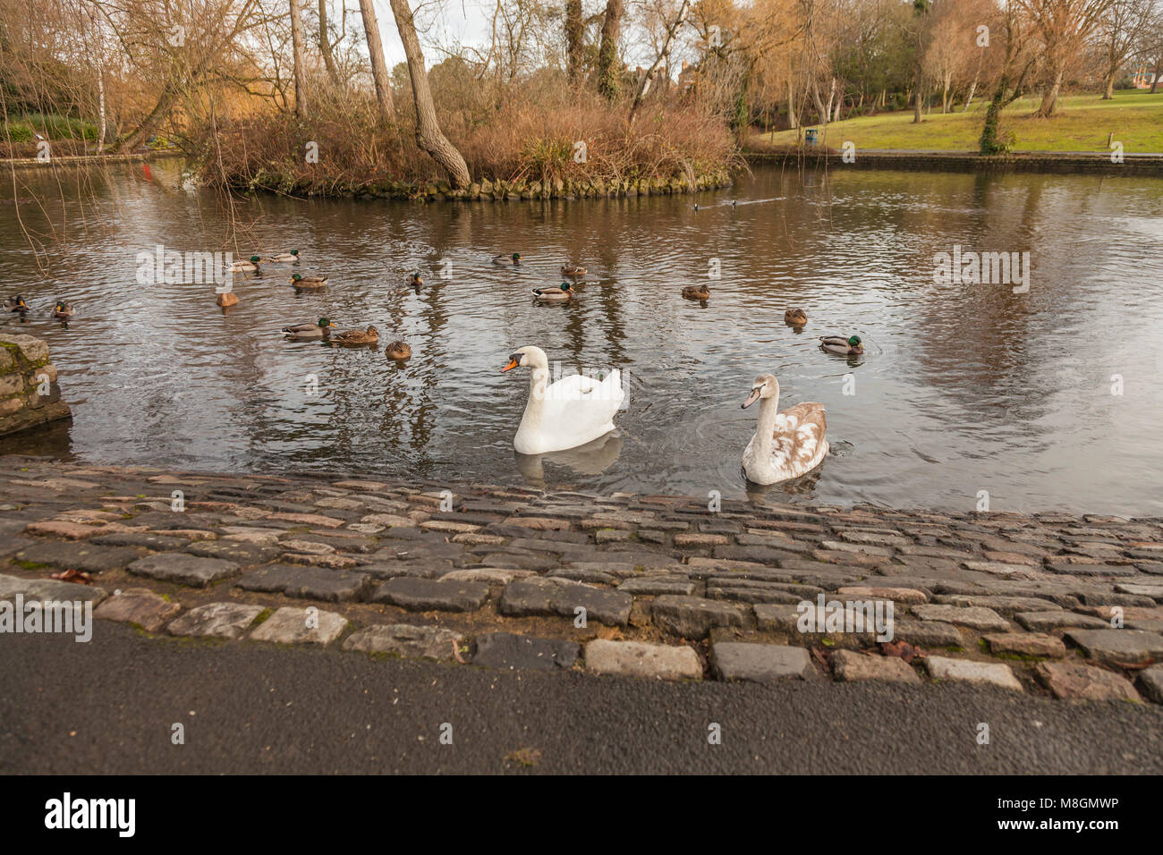 Ropner park hi-res stock photography and images - Alamy