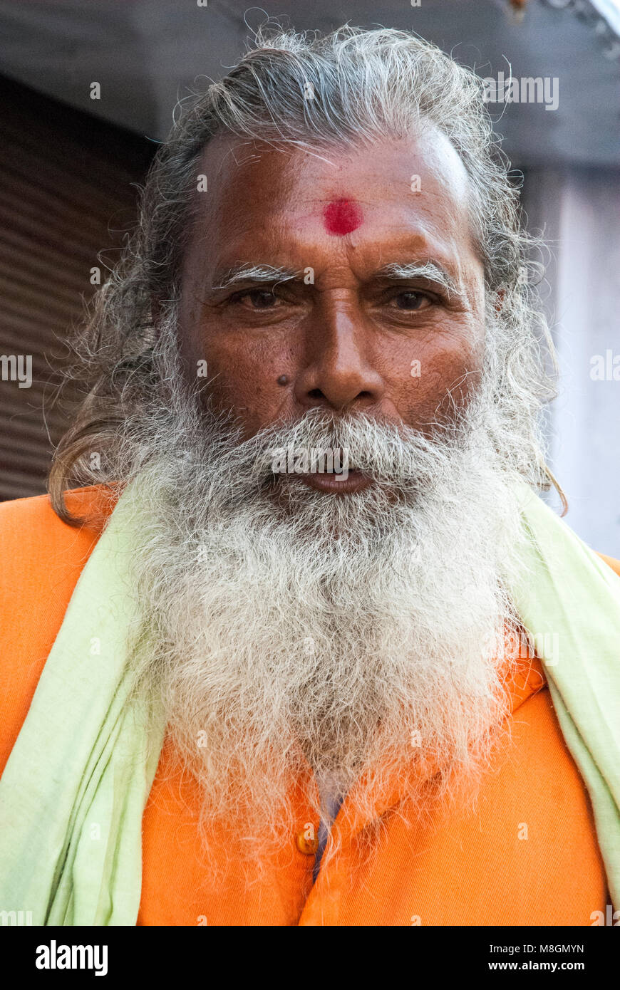 Hindu sage hi-res stock photography and images - Alamy