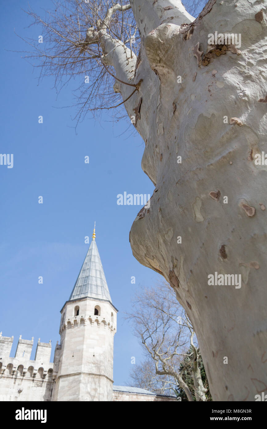 Palace turret hi-res stock photography and images - Alamy