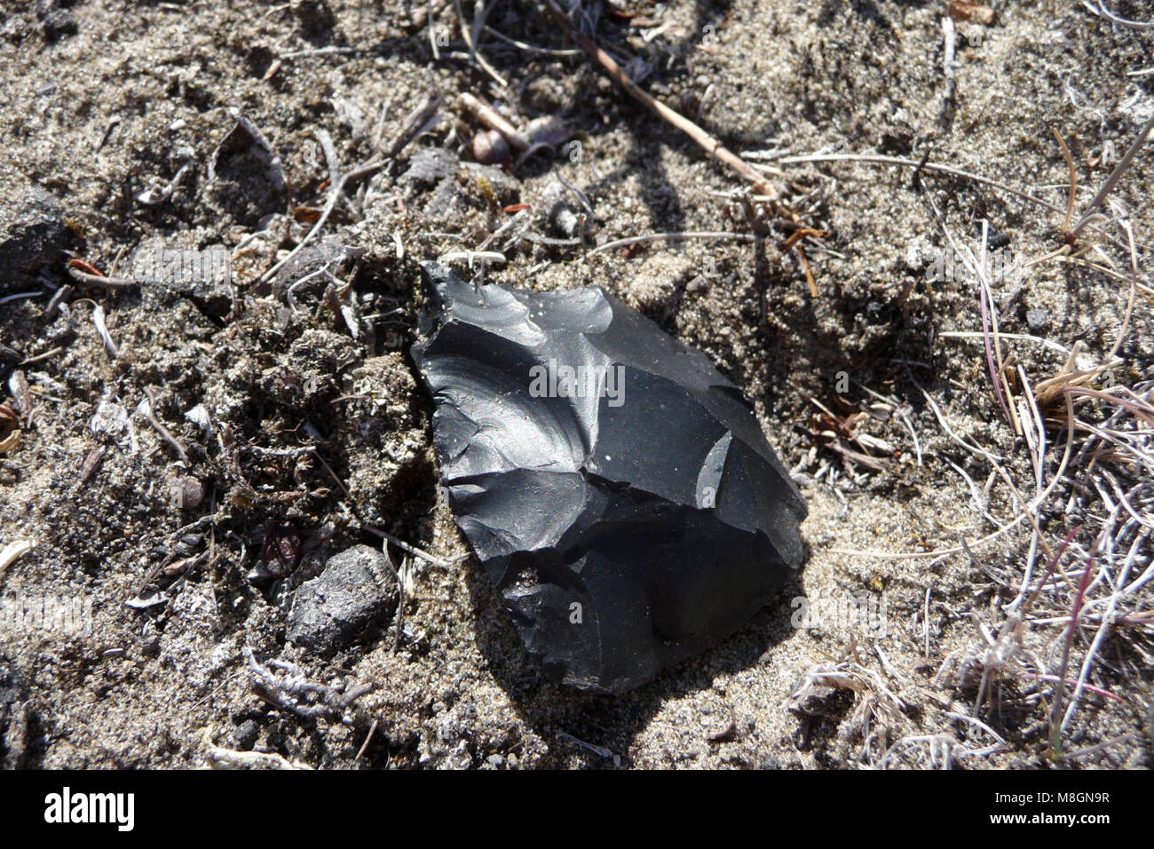 Bering land bridge migration hi-res stock photography and images - Alamy