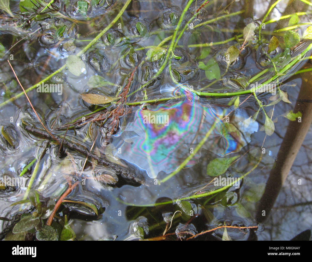 bacterial decomposition rainbow Stock Photo - Alamy