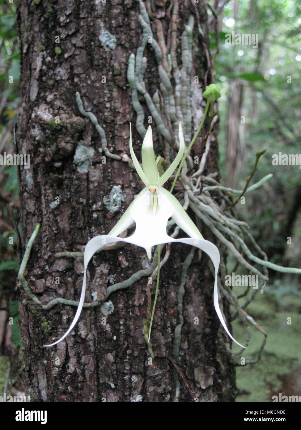 BICY pr image e cr Stock Photo - Alamy