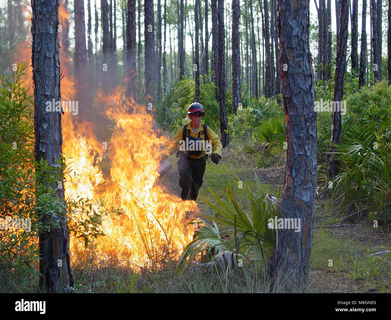 Firefighter drip torch hi-res stock photography and images - Alamy