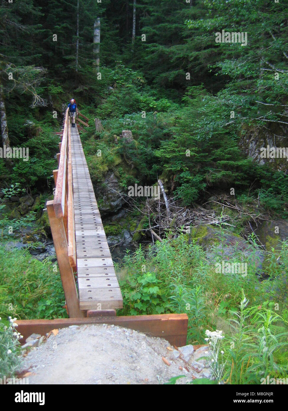 bridge backpacker log people Stock Photo - Alamy