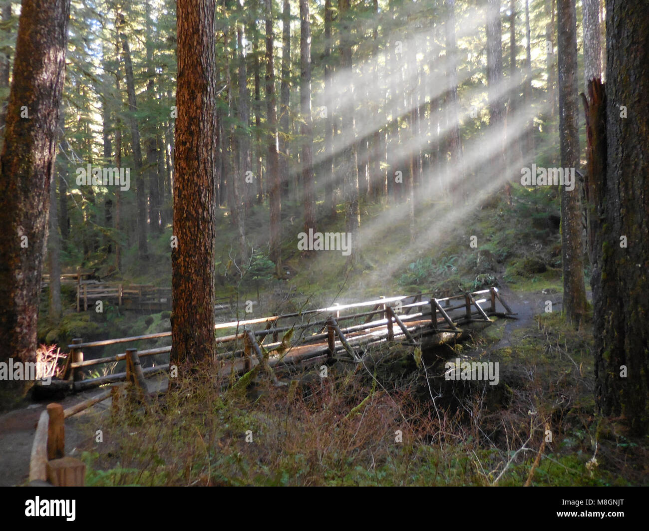 bridge sol duc falls forest scenic trail Stock Photo - Alamy