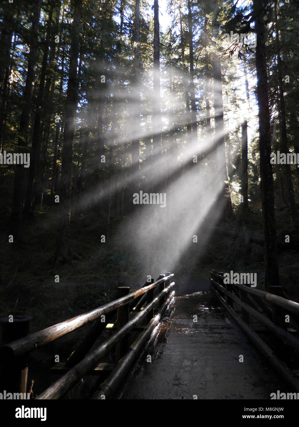 bridge sol duc falls trail scenic Stock Photo - Alamy