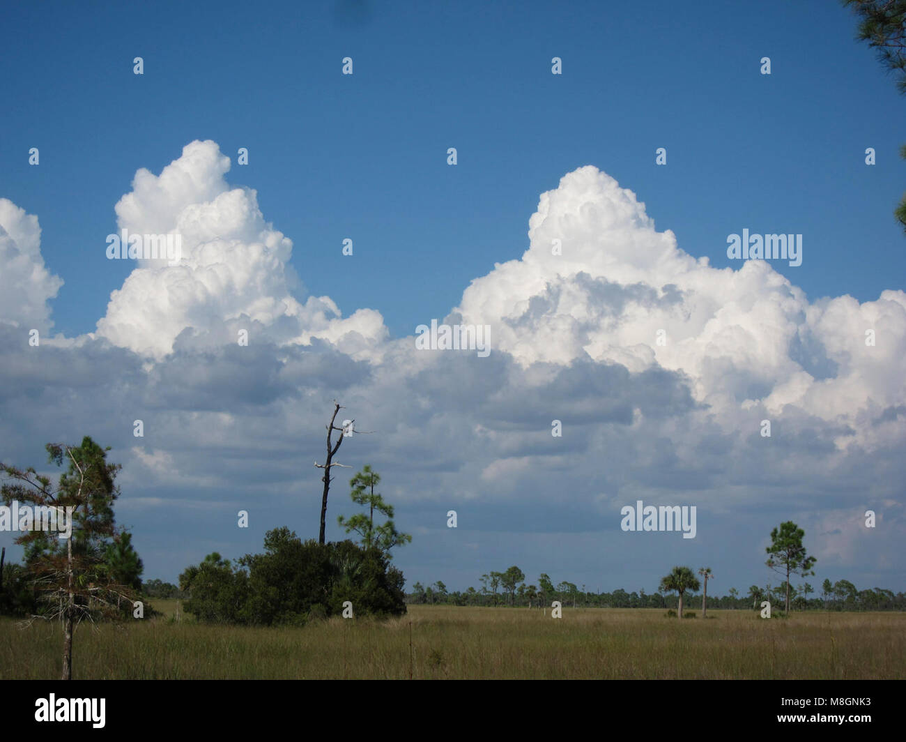 Building Cumulus Clouds Stock Photo - Alamy
