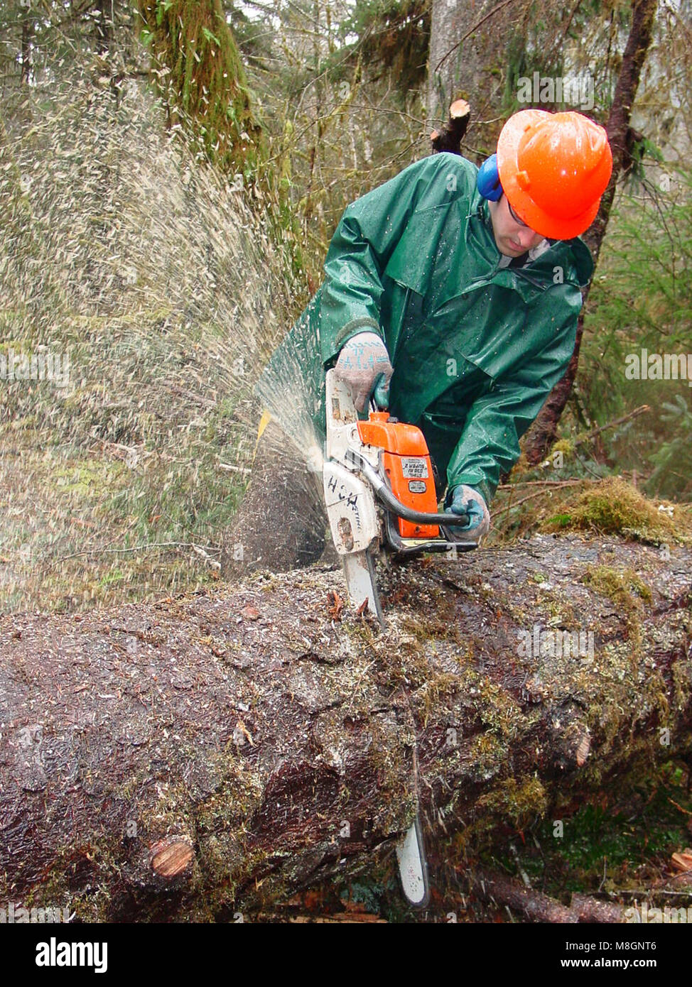 chainsaw people work maintainence trail Stock Photo - Alamy
