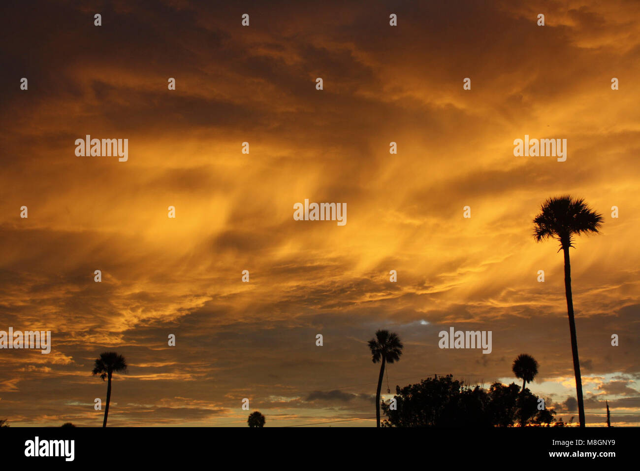 Clouds Stock Photo - Alamy