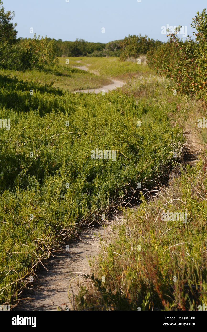Coastal Prairie Trail EVER Stock Photo - Alamy