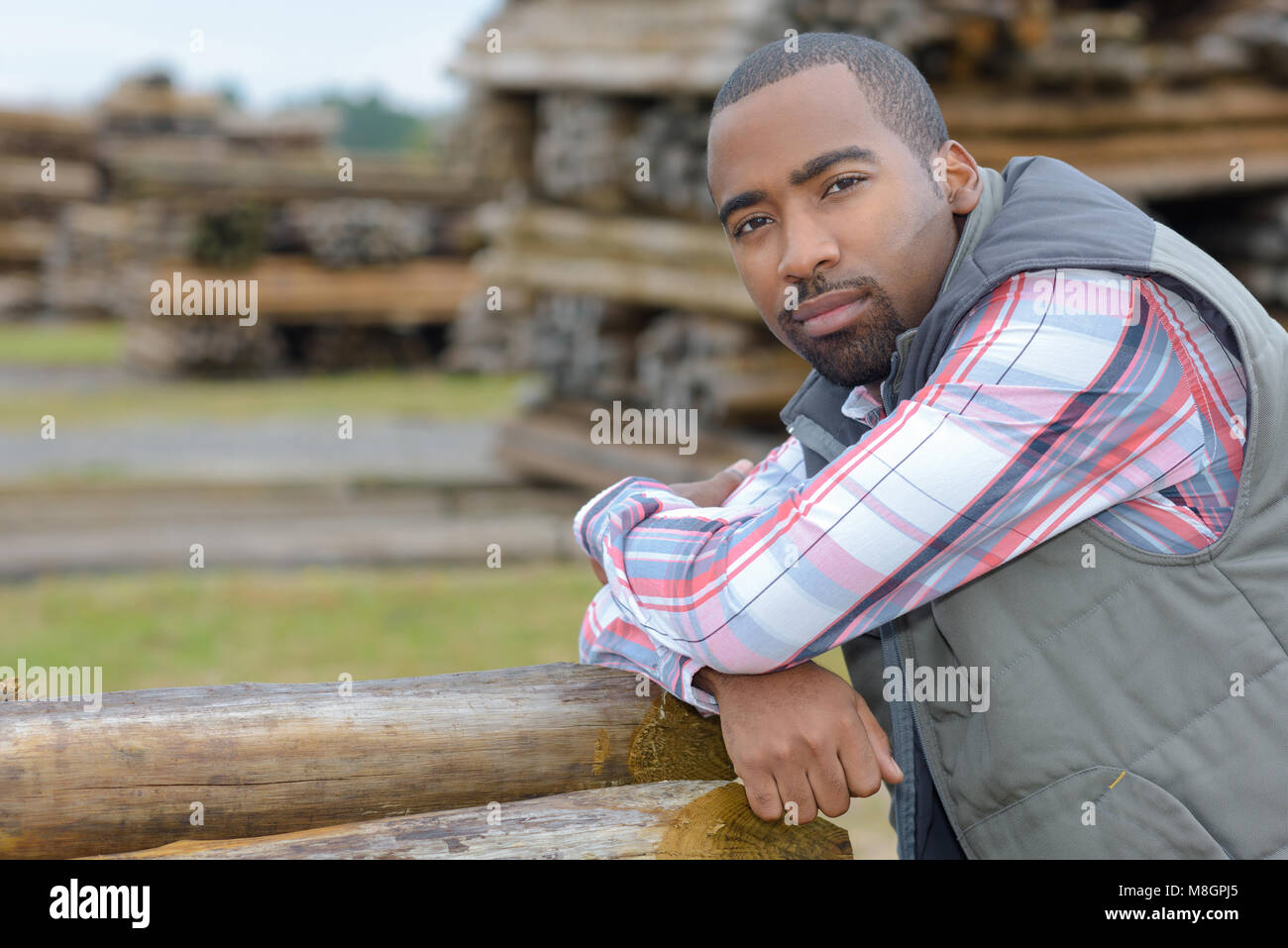 Logging worker hi-res stock photography and images - Alamy