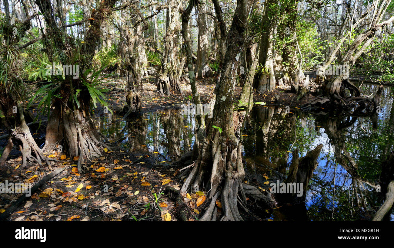 drying dome up Skillet Strand Stock Photo - Alamy