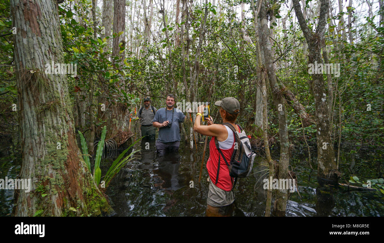 People in the swamp Stock Photo - Alamy
