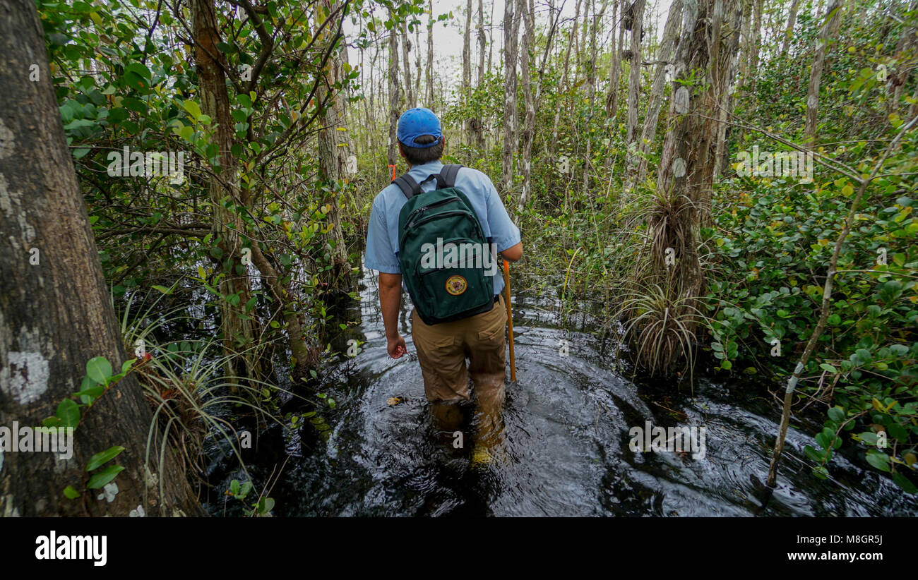 People in the swamp Stock Photo - Alamy