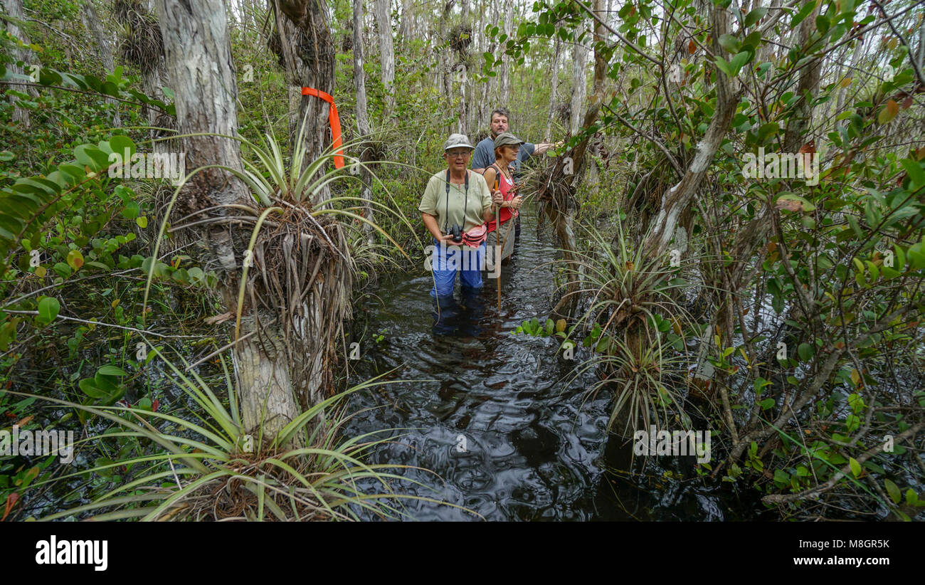 People in the swamp Stock Photo - Alamy