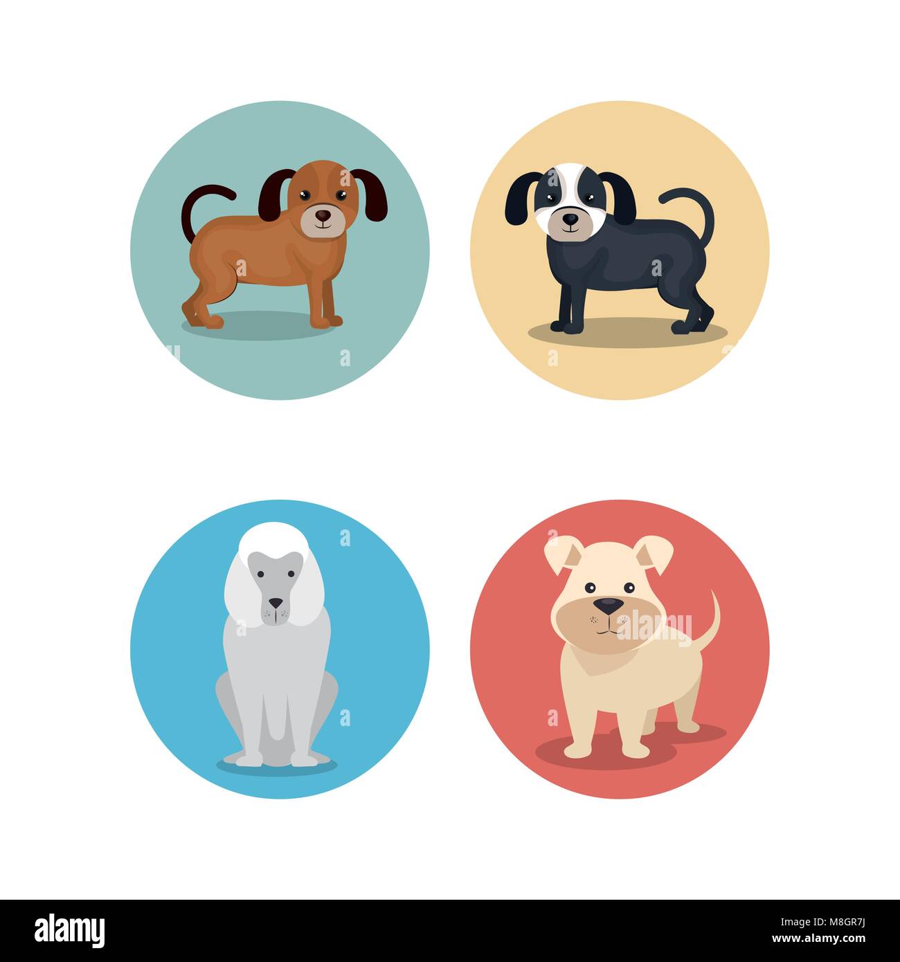 group of dog breeds vector illustration design Stock Vector Image & Art ...