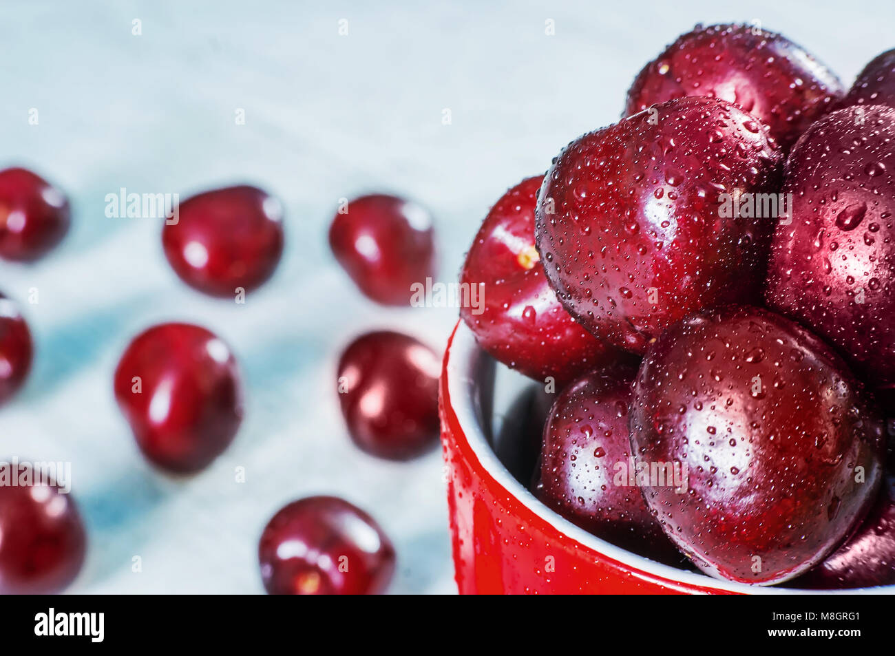 ripe cherry fruits in old style in the red circle, on white wooden ...