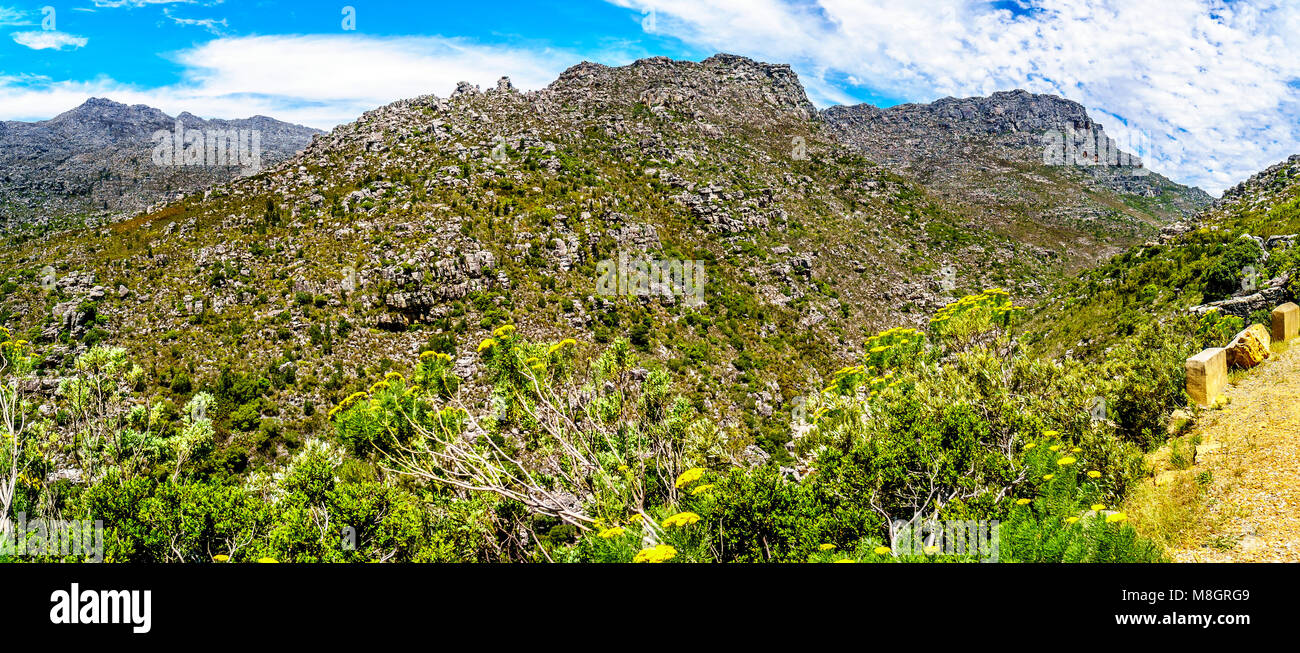 View of the Slanghoekberge Mountains and the Witrivier, flowing through ...