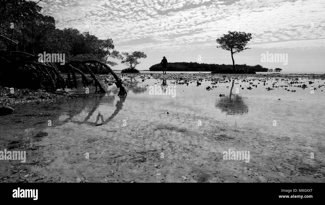 EVER near Jewel Key Stock Photo - Alamy