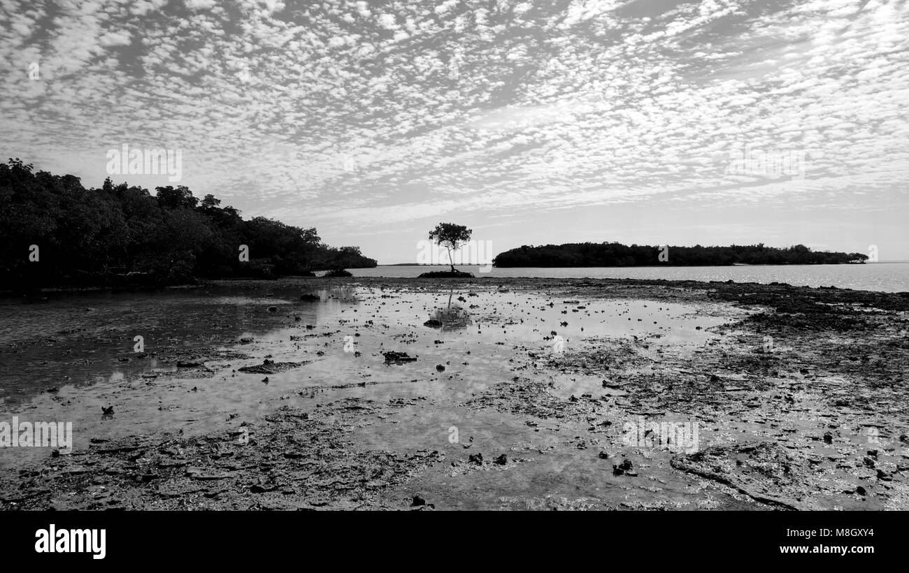 EVER near Jewel Key Stock Photo - Alamy