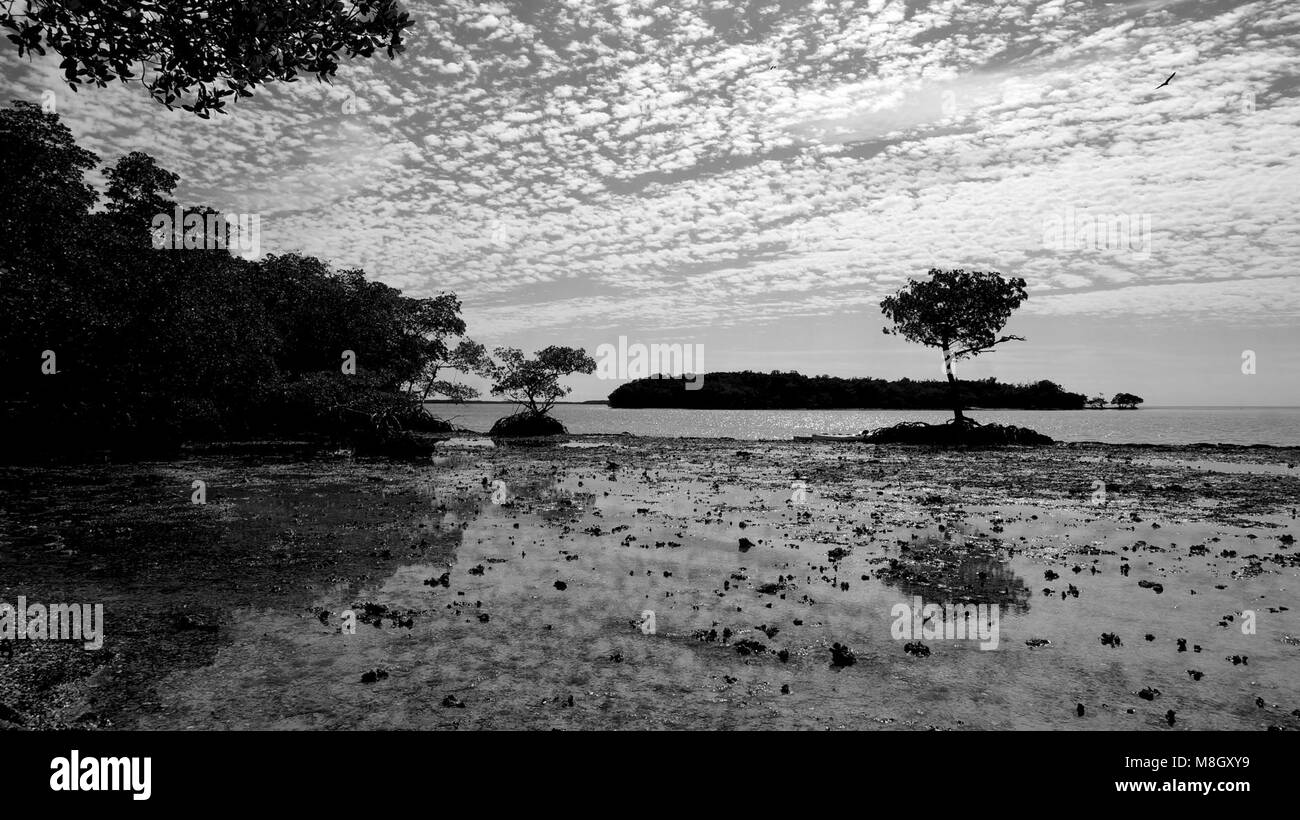 EVER near Jewel Key Stock Photo - Alamy