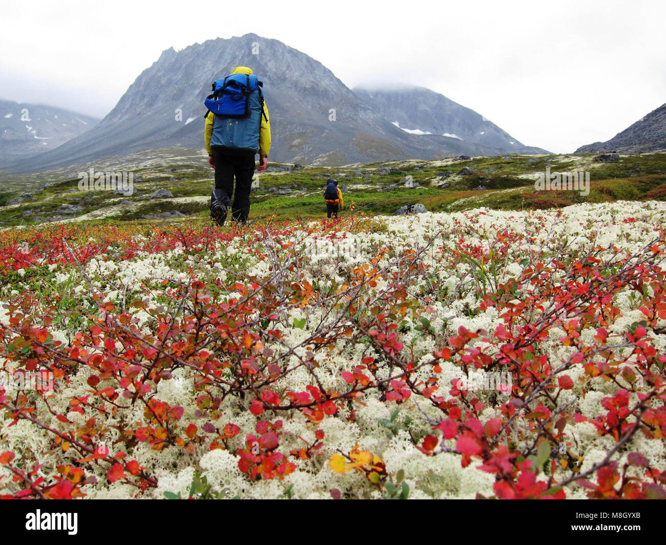 Gladiator Basin .Hikers walk along the red white tundra of Gladiator ...