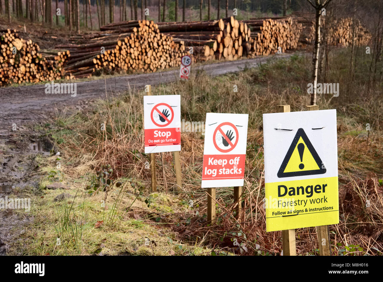 Danger keep off log stacks chopped tree trunks forestry commission ...