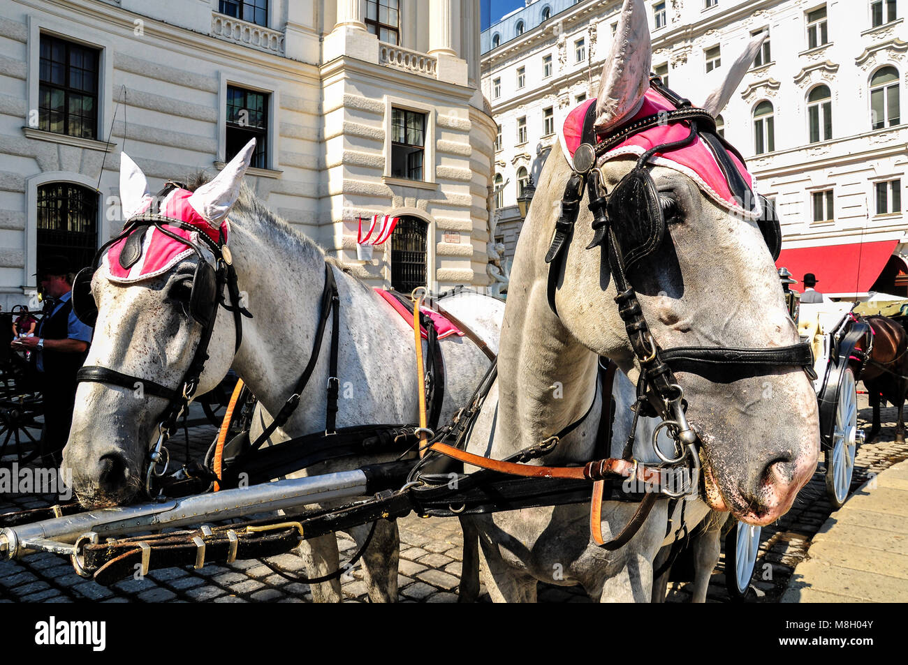 Fiaker vor der Wiener Hofburg Stock Photo - Alamy